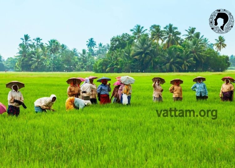 Is today’s agriculture producing food? - Vattam | Let's change the world.
